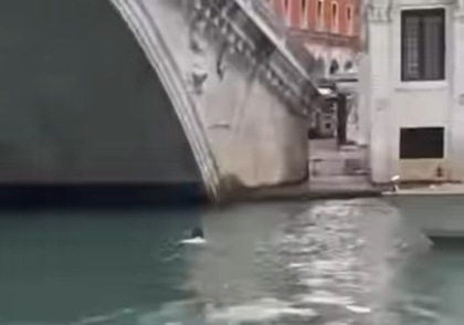 Venezia, turista cade dal ponte di Rialto: si stava facendo un selfie ...