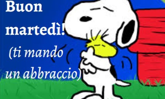 Buongiorno buon martedì 11 febbraio 2025: frasi e immagini gratis da ...